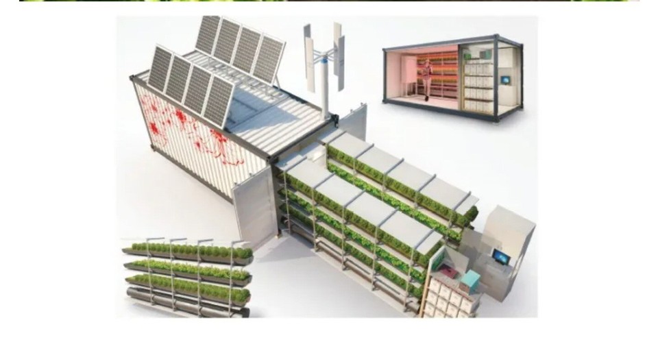 40ft Shipping Container Farm Hydroponic Urban Farming Closed Farming | eBay