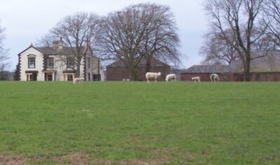 Photo 6x4 Mereside Farm. Bromfield/NY1746 Spring lambs in the home ...