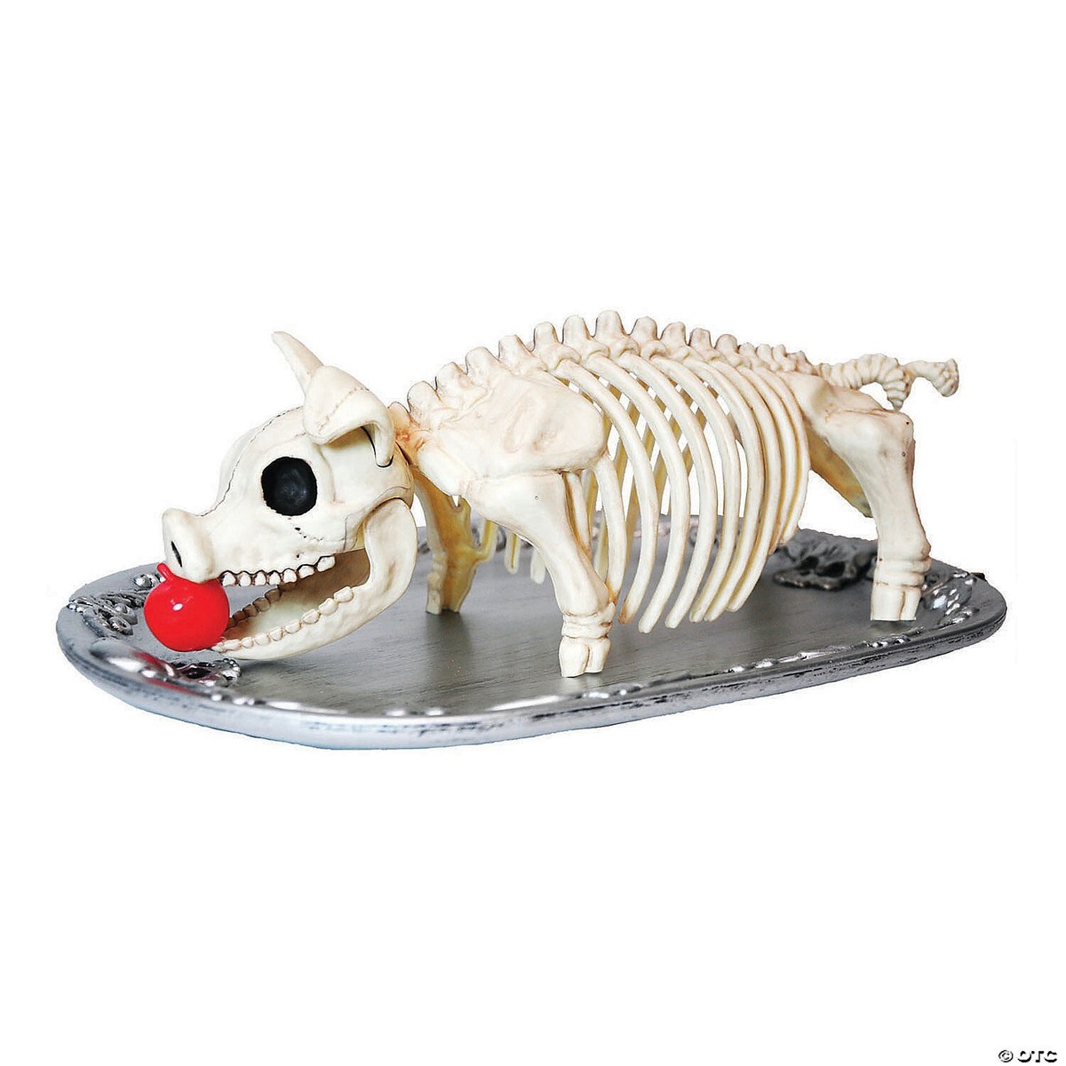 Skeletal Pig 3D Pig Skeleton TurboSquid 1853911