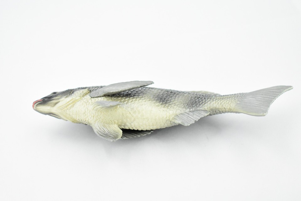 Fish, Tilapia, Nile Perch, Realistic Toy Figure, Model, Replica, 7 ...