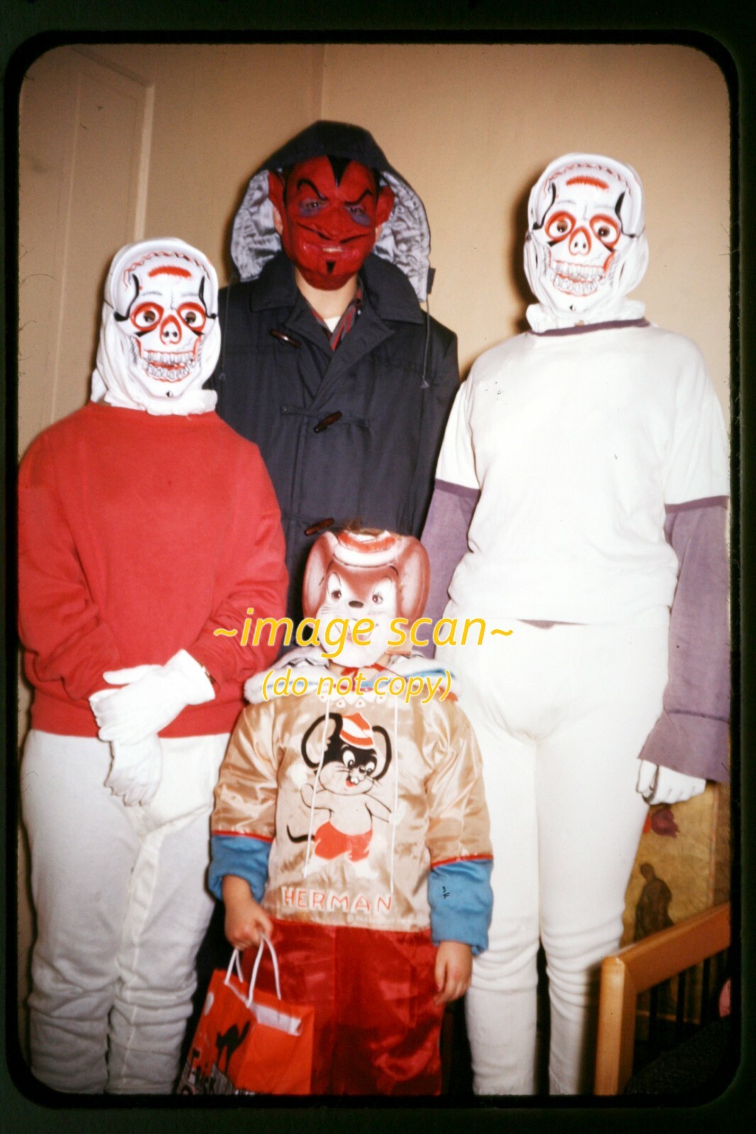 Herman Mouse & Katnip Cat Halloween Costume in 1958 Kodachrome Slide ...