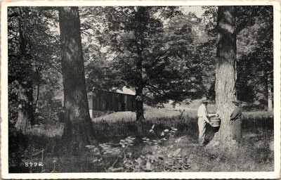 Maple Syrup Tapping Farm Barn Somerset Pennsylvania RPPC Real Photo Vtg ...