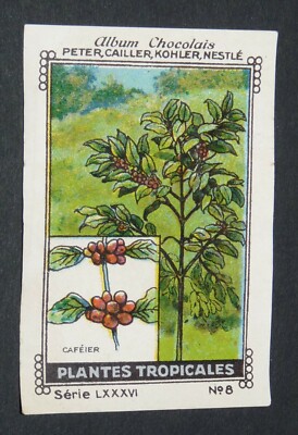 CHROMO PETER CAILLER KOHLER NESTLE 1928 SERIE 86 PLANTES TROPICALES N°8 ...