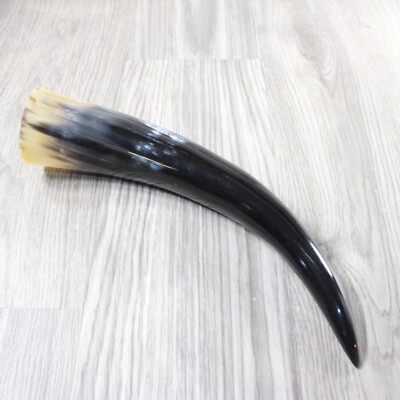 1 Polished Cow Horn #5955 Natural Colored | eBay
