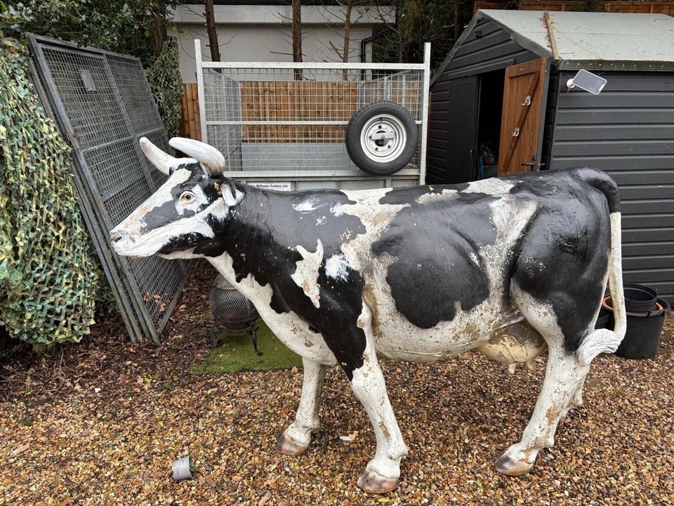 Life size cow figure | eBay UK