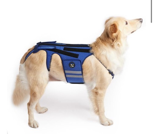 Coodeo Dog Back Brace – XXL | Supportive Lift Harness for IVDD ...