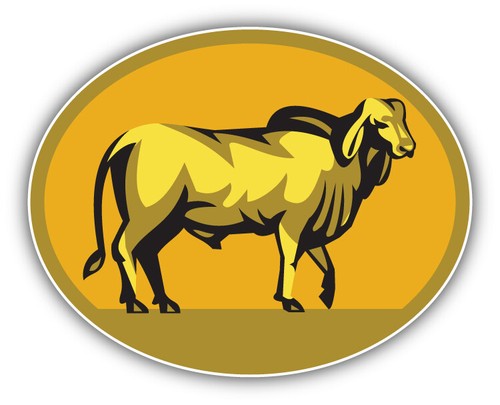 Brahman Bull Animal Label Car Bumper Sticker Decal - ''SIZES'' | eBay