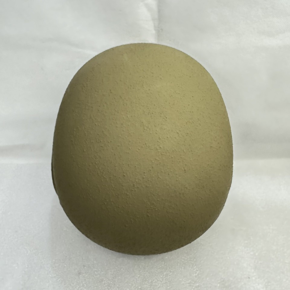 Small USMC LWH Lightweight Helmet Package Norotos ESS IR USGI US ...