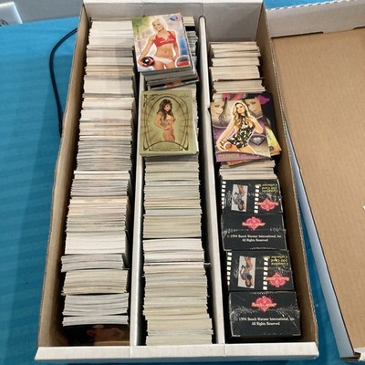 BCW Super Shoe Box 3 Full Rows Of Benchwarmer Trading Cards With ...