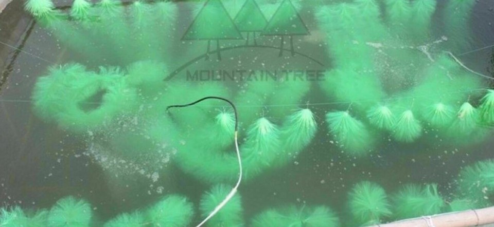 39" Koi Fish Spawn Fry Catch Net Box Rope Brush Mop For Pond Aquarium ...