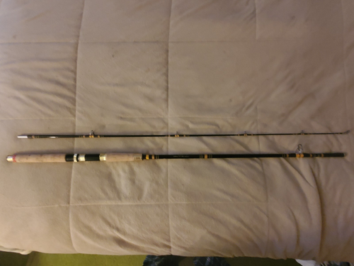 South Bend Gladding Classic III Spinning Rod 7 Ft. 2 Piece 1-242-870 ...