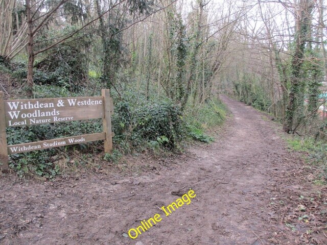 Photo 6x4 Withdean Stadium Woods Brighton/TQ3106 Track into Withdean ...