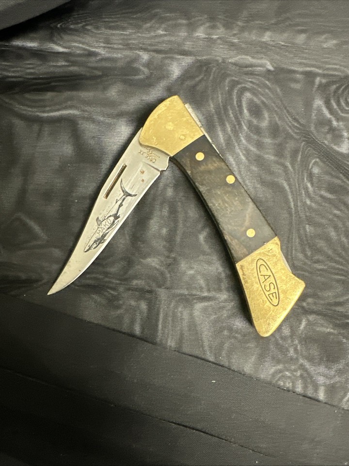 Case XX Mako Folding Pocket Knife P158 LSSP Lock Back USA Single Blade ...