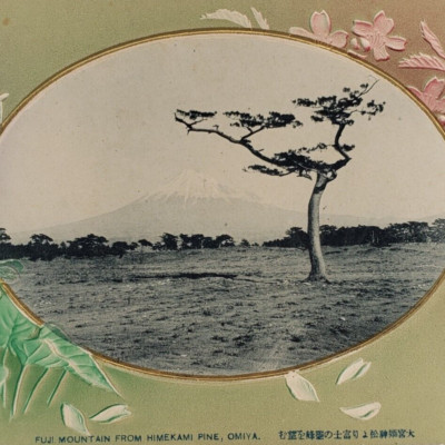 Himekami Pine Tree Omiya Japan Postcard c1911 Mount Fuji Vintage ...