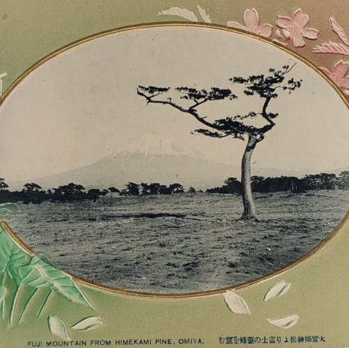 Himekami Pine Tree Omiya Japan Postcard c1911 Mount Fuji Vintage ...
