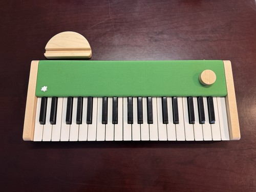 Loog x Duolingo Piano Keyboard | eBay