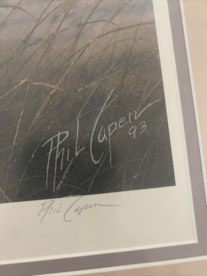 Phil CAPEN First Limited Edition Lithograph Print “American Egret ...