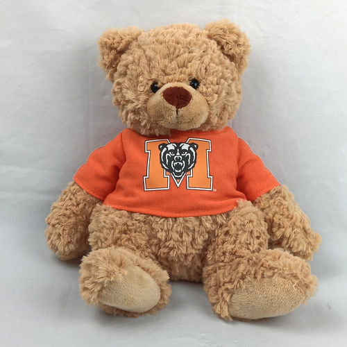 Mascot Factory NBA Minnesota Timberwolf Teddy Bear Plush Stuffed Animal ...