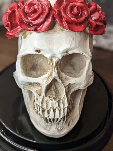 Resin Skull with Red Roses Resin Statue Small Size Head Sculptures ...