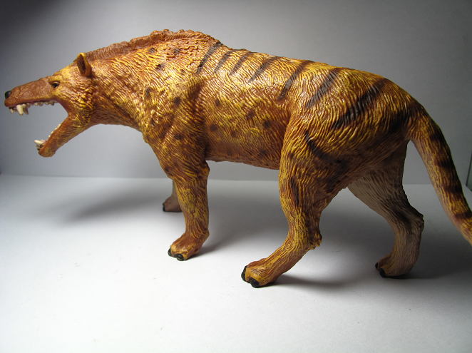 Andrewsarchus Andrewsarchus Animal Facts Andrewsarchus Mongoliensis