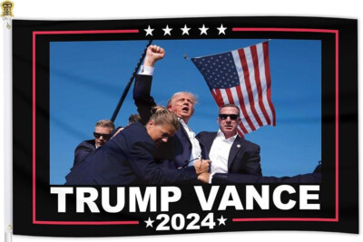 3x5 FT Donald Trump 2024 Flag President TRUMP VANCE Flag Outdoor Yard ...