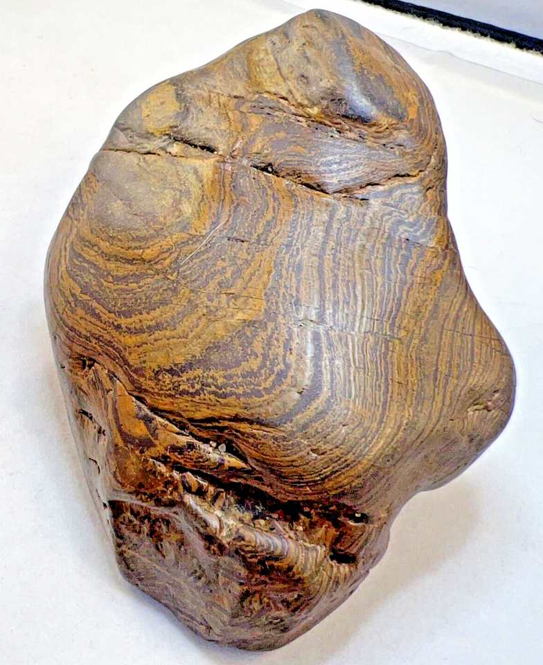 * WYOMING Banded Iron Formation Tiger Ironstone GENESIS SEER STONE ...