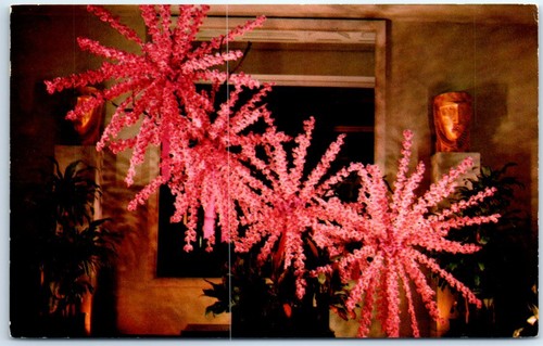 Vanda Orchid Display, Royal Hawaiian Hotel at Waikiki, Honolulu, Hawaii ...