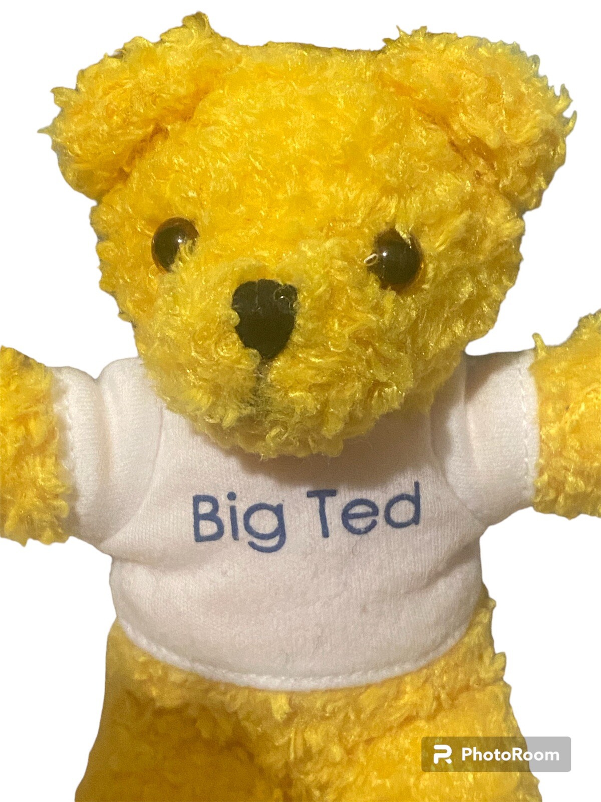Big Ted Plush Toy | ABC Kids Playschool Big Ted Soft Toy Play School ...