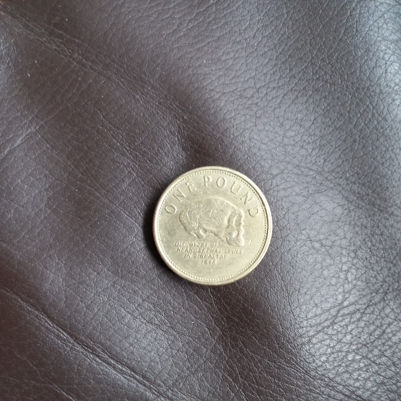 Rare 2010 Gibraltar Neaderthal Skull £1 One Pound Coin | eBay UK