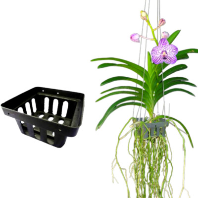 Hanging Vanda Pots Plastic Small Black Mesh Basket Planting Orchid ...