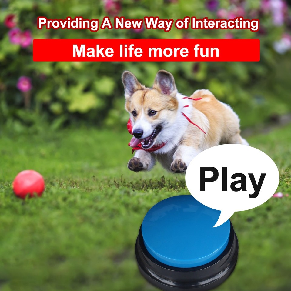 Dog Buttons Training Voice Recorder Squeeze Box Interactive Dog ...