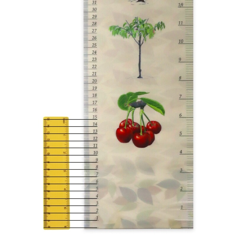 Kids Height Chart Ruler Waterproof Measuring Rulers for Boys Girls Room ...