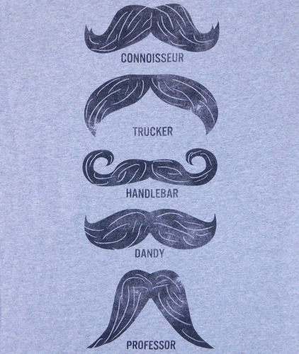 Moustache Tshirt Tee Shirt Heather Gray Handlebar Dandy Trucker Stache ...