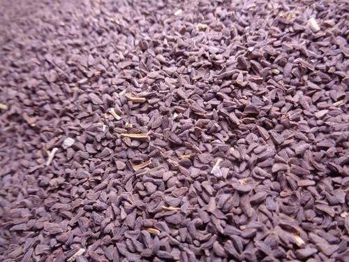 Harmal Harmala Natural Organic Seeds Wild Rue Syrian Herb Pure seeds ...