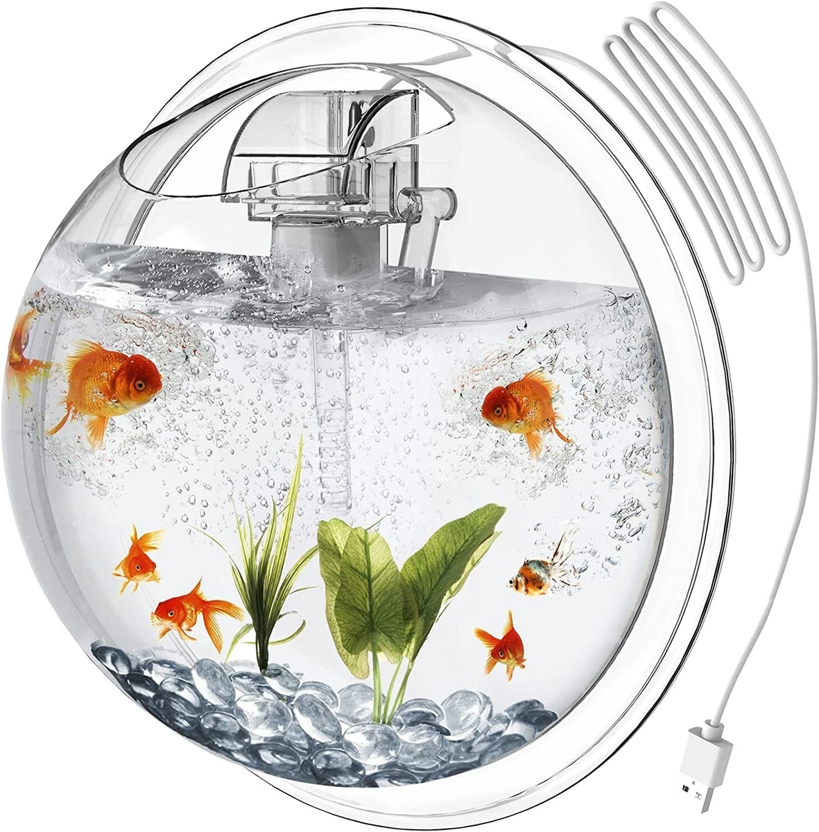 Hanging Wall Fish Tank