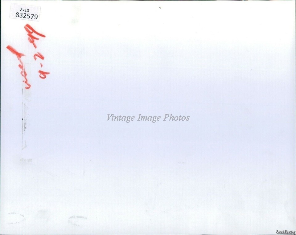 1999 Lake Placid Bridget Fonda Oliver Platt Brendan Gleeson Actor 8X10 ...