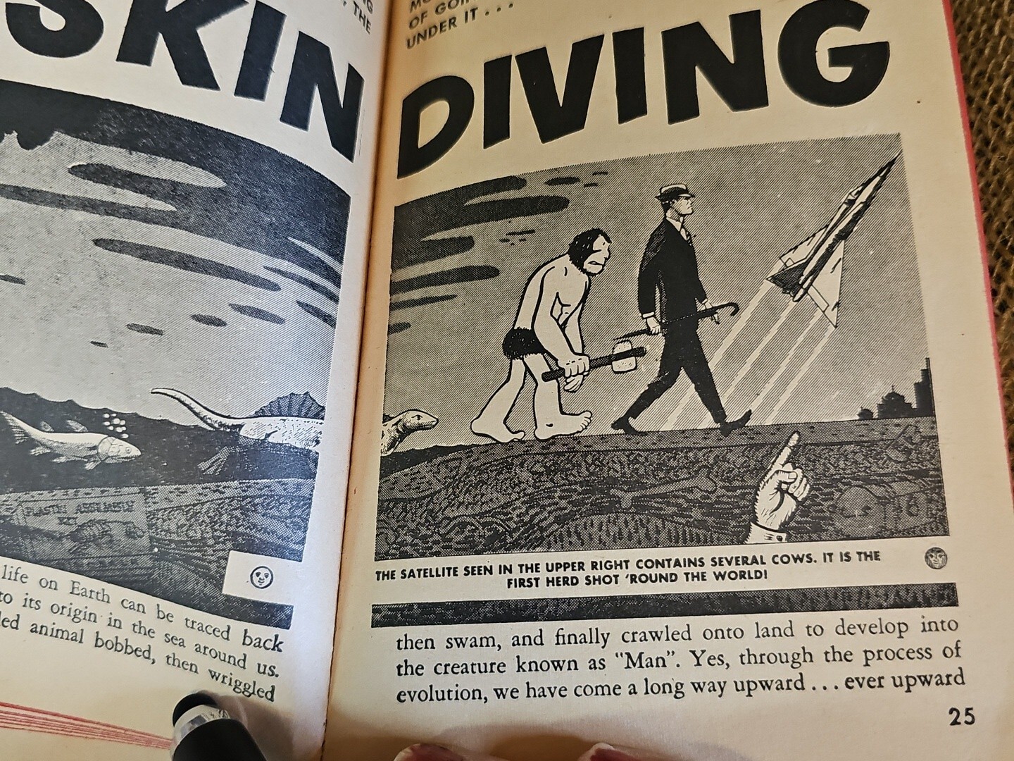 The Voodoo Mad First Printing 1963 Paperback Book | eBay