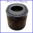 Replacement air filter element for Predator 708cc (LC2P77F & LC2P80F ...