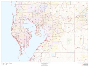 Hillsborough County, Florida ZIP Codes Laminated Wall Map (MSH) | eBay