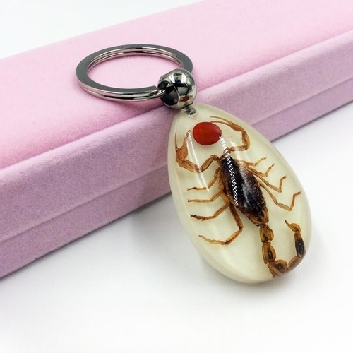 Amber Scorpion Fossil Insects Manual Polishing Lucky Ornaments key ...