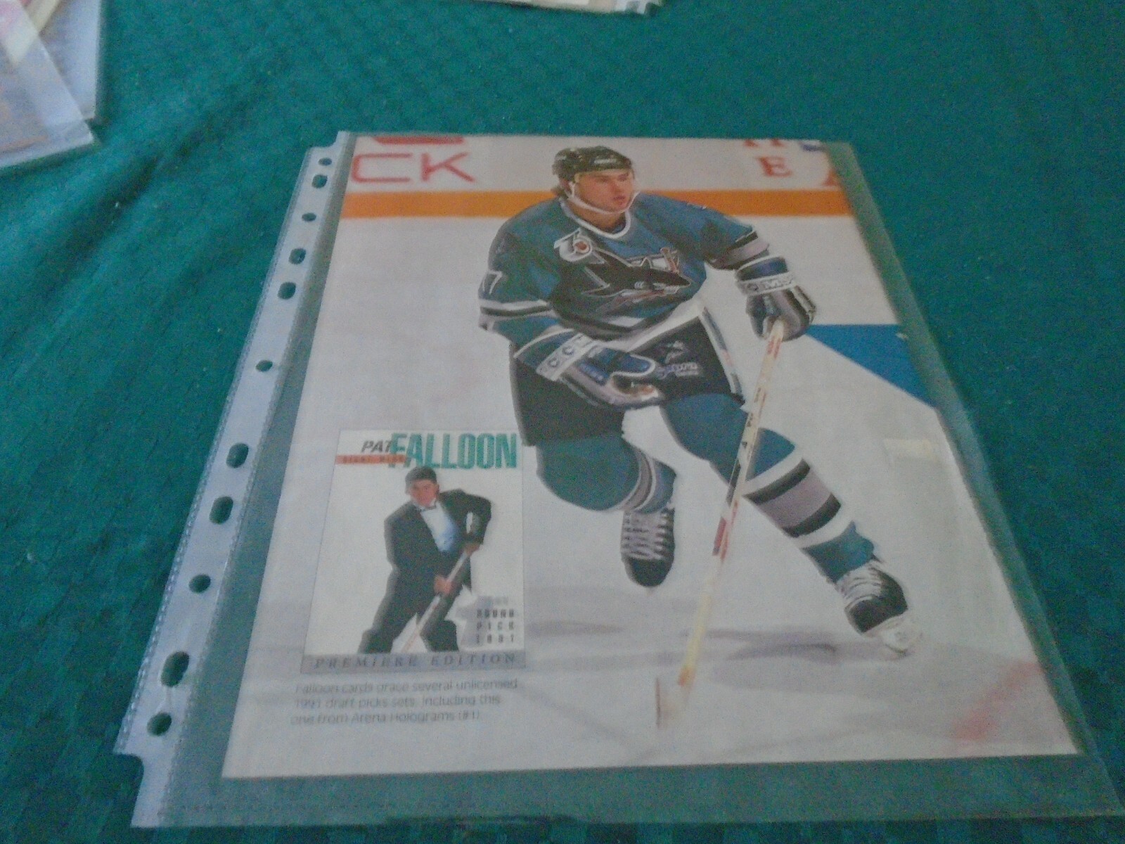 PAT FALLOON POSTER COLOR 8 X 11 INCHES SAN JOSE SHARKS | eBay