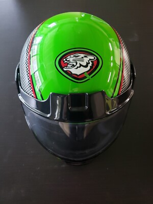 Arctic Cat Snowmobile Green Helmet XL Vintage 2001 Full Face with ...