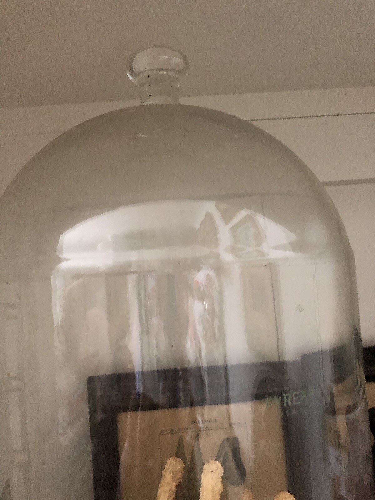 Vintage Rare Tall 17 Inch Pyrex Glass Bell Jar Apothecary Dome Cloche ...