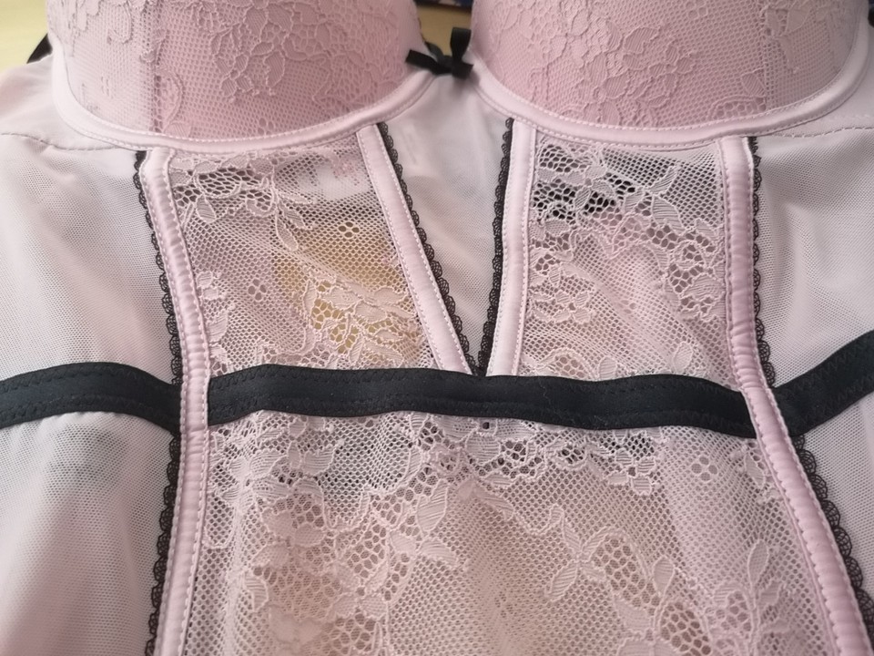 Peacock Rose Basque With Suspenders 14/16 Black Trim Lace & Fine Mesh ...