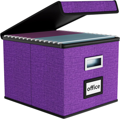 File Organizer Box with Lid, Collapsible File Folder Organizer for ...