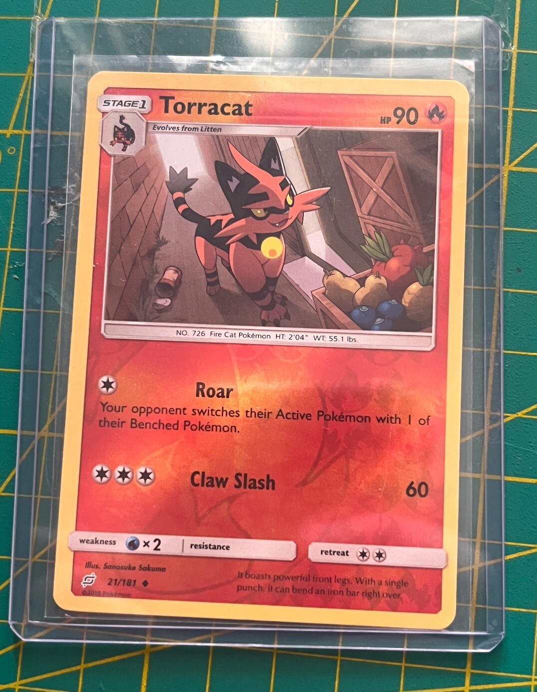 Torracat 21/181 Team Up Reverse Holo Pokemon card Fire type cat Litten ...