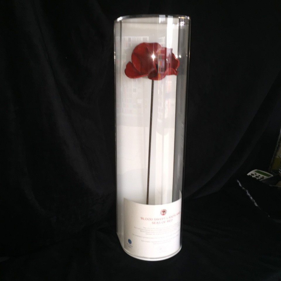 TOWER OF LONDON POPPY DISPLAY CASE ..WALLMOUNTED OR FREE STANDING WHITE ...