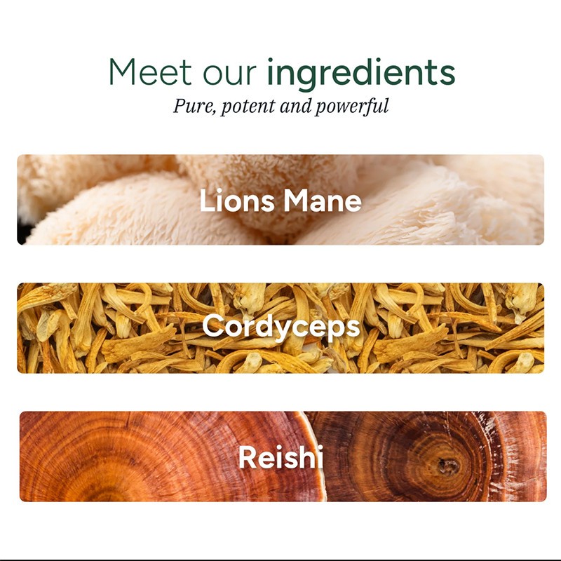 New Root Labs Pure Himalayan Alpha Gummies with KSM-66 Ashwagandha ...