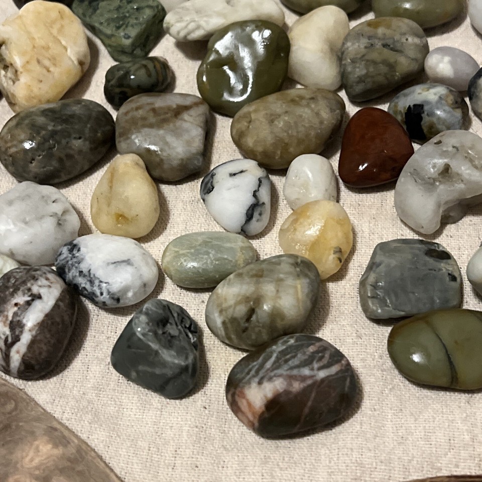 Beach Agates Rocks Lot Pacific Ocean Rough Natural Stones Oregon Coast ...