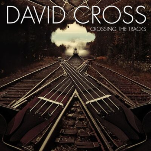 David Cross Crossing the Tracks (CD) Album (US IMPORT) 889466370328 | eBay.de